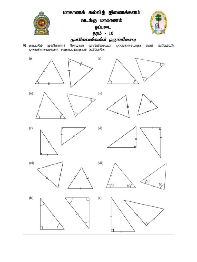 Gr 10 Math Orunkisaivu Assign | PDF