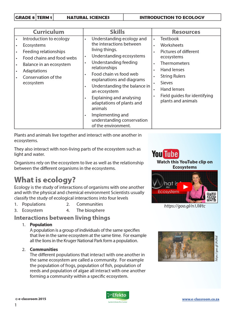 Grade 8 Ecology: Ecosystems & Interactions | PDF | Ecosystem | Food Web