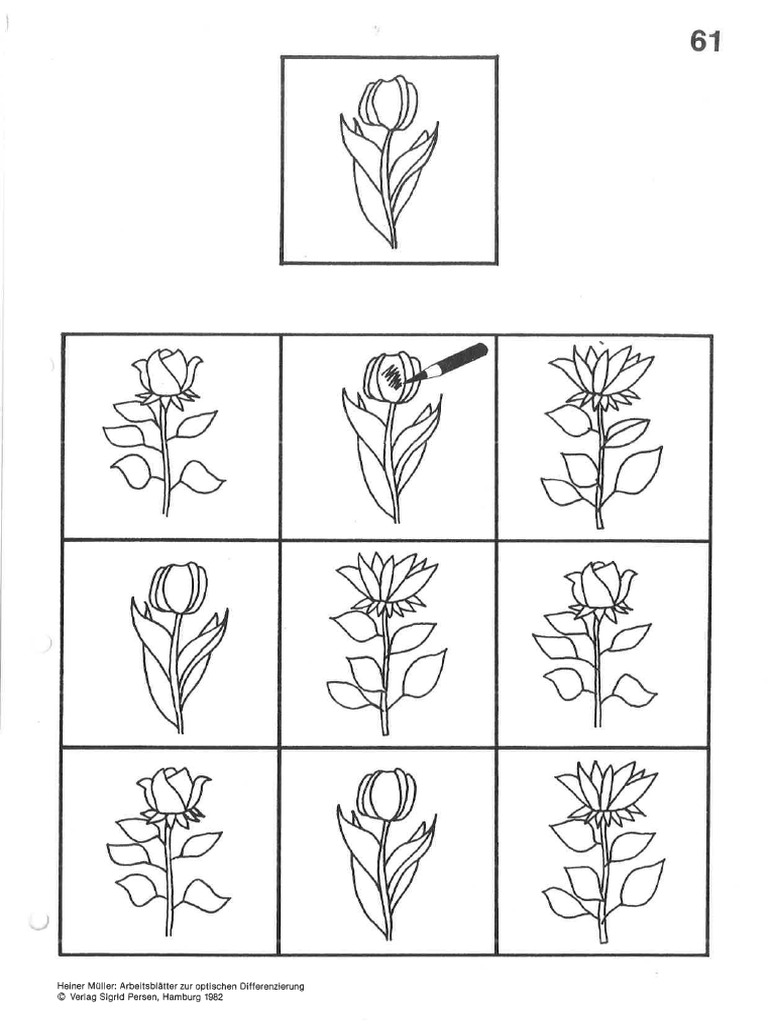 Fise de Lucru - Diferentierea Optica (S61-120) | PDF