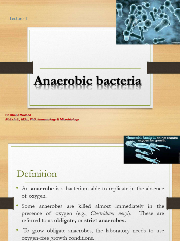 Anaerobic Bacteria Lect One | PDF | Biology | Bacteria