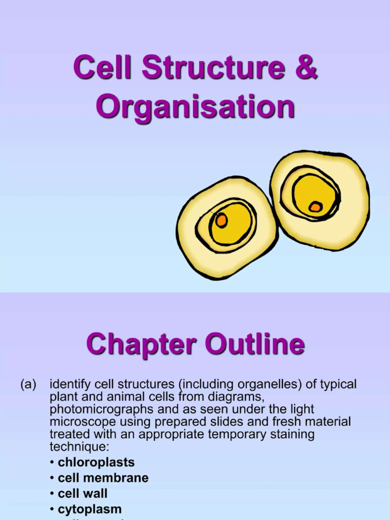 Cell Structure and Organisation | PDF