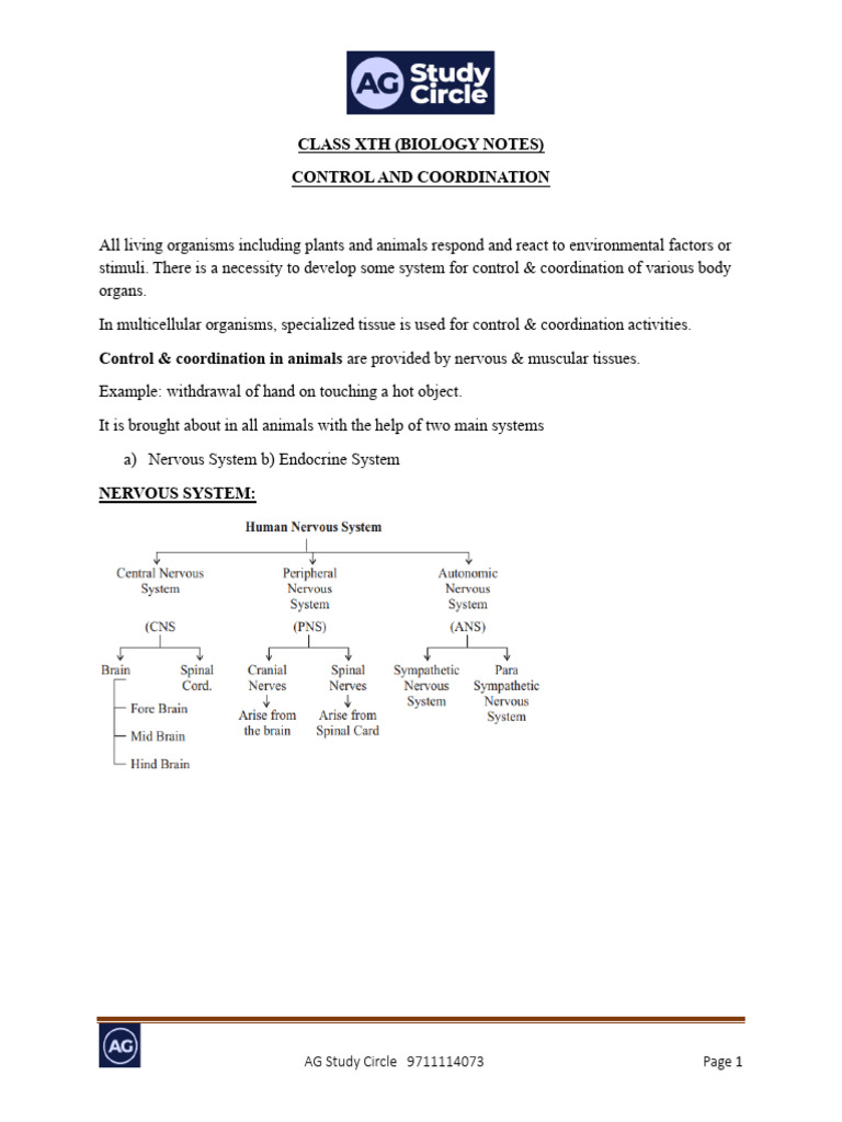 Control and Cordination GR 10 Notes New | PDF | Neuron | Stimulus ...