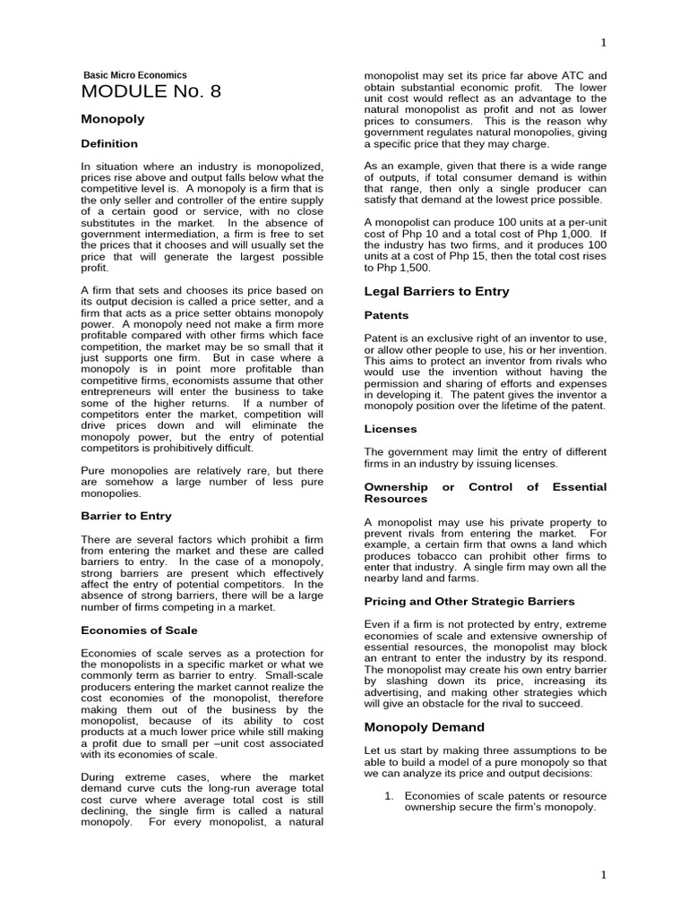 Basic MicroEconomics Module No. 8 | PDF | Monopoly | Profit (Economics)