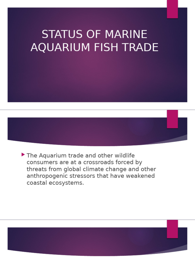 Fishing Ground | PDF