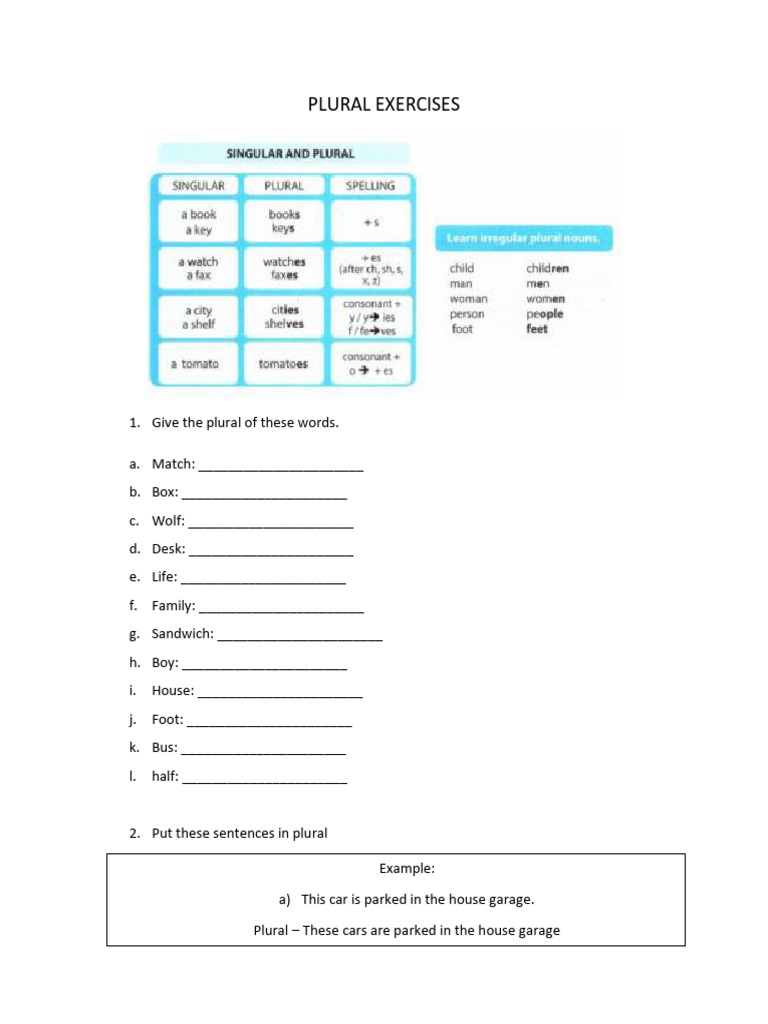 Plural Exercises 2025 | PDF