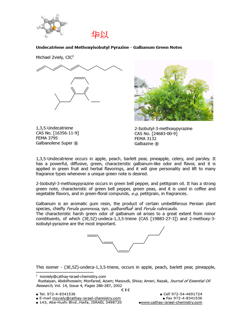 Galbanum Green Notes | PDF