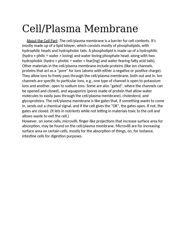 Cell/plasma Membrane Notes | PDF