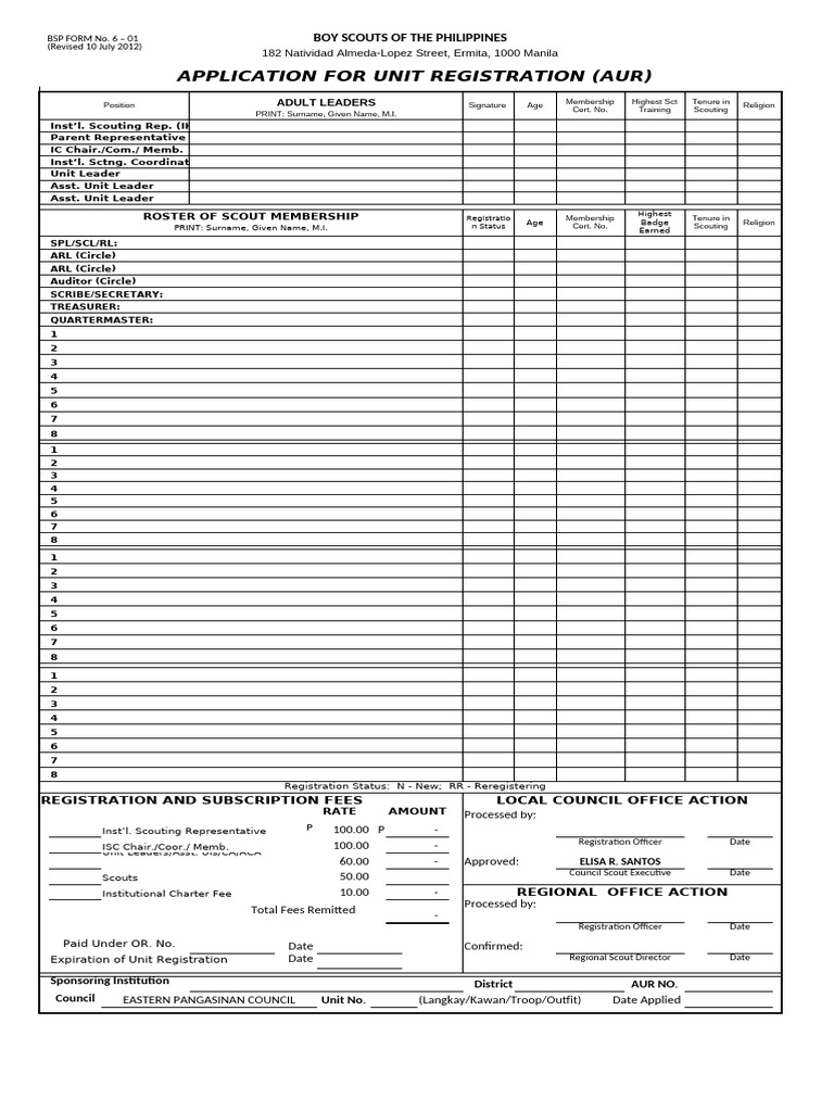 Boy Scouts Philippines Unit Registration Form | PDF | Youth ...