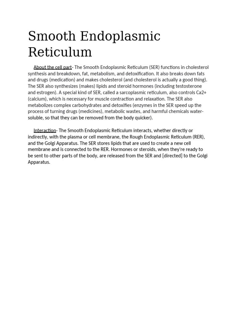 Smooth Endoplasmic Reticulum Functions | PDF