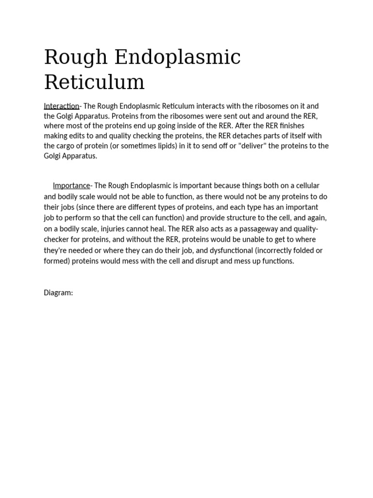 Rough Endoplasmic Reticulum Notes Continued | PDF