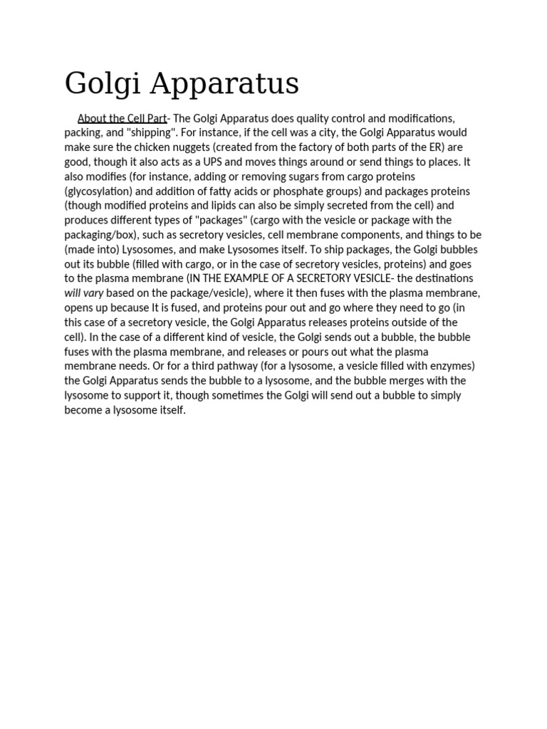 Golgi Apparatus: Function and Packaging | PDF