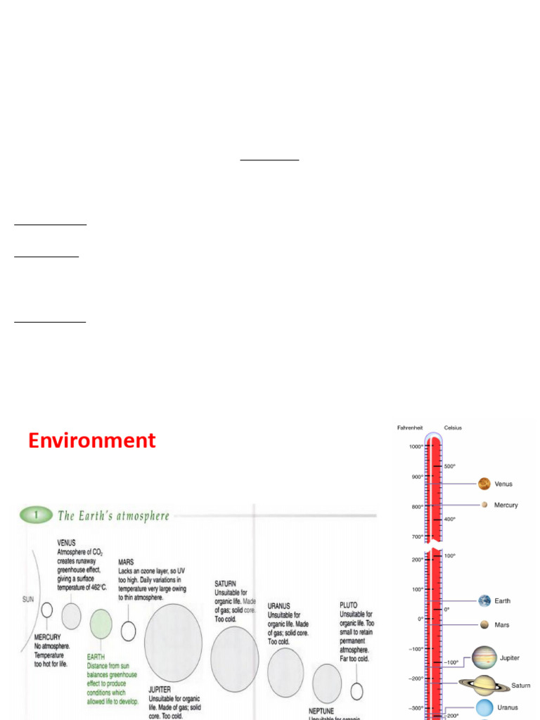 Chapter 1 Environment | PDF