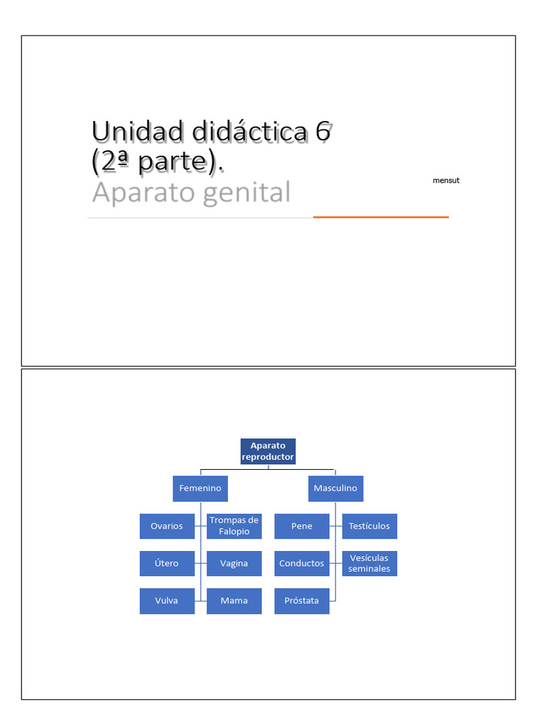 UD6.2 APARATO Reproducto | PDF | Ciclo menstrual | Ovario