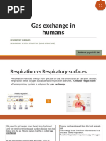 Life Sciences Gr.11 Lesson 35 Gaseous Exchange (Human Gas Exchange ...