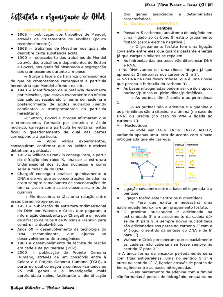 Estrutura e Função do DNA e RNA | PDF | DNA | Cromossomo