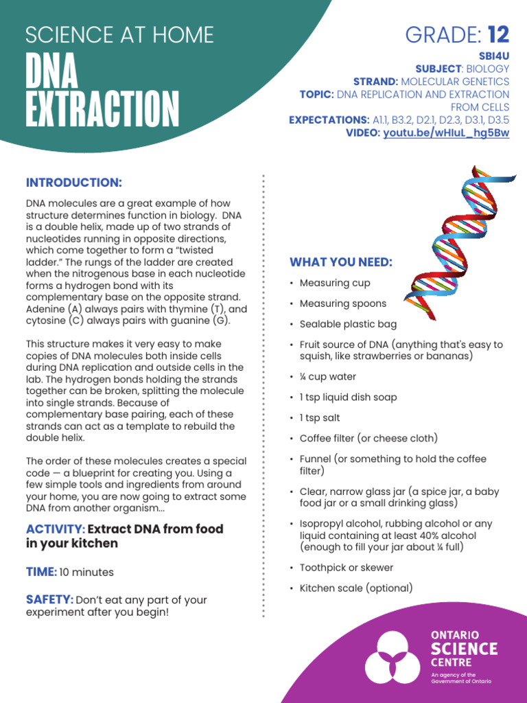 DNA Extraction Activity for Grade 12 | PDF | Dna | Polymerase Chain ...