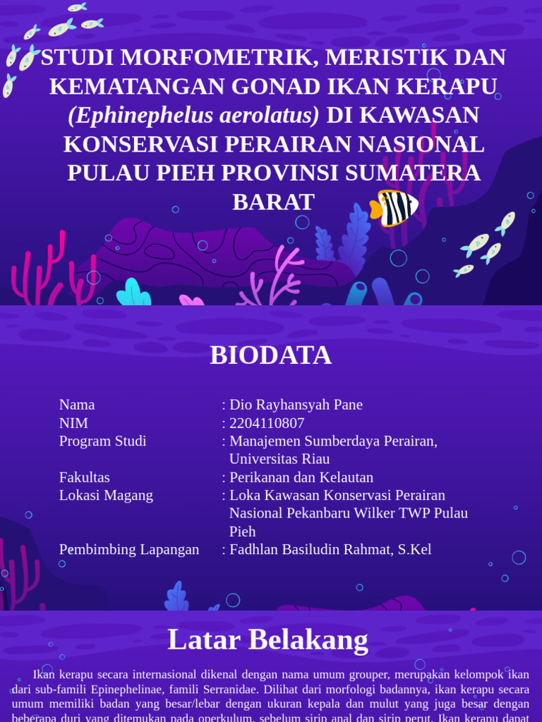 Morfometri dan Kematangan Gonad Ikan Kerapu | PDF
