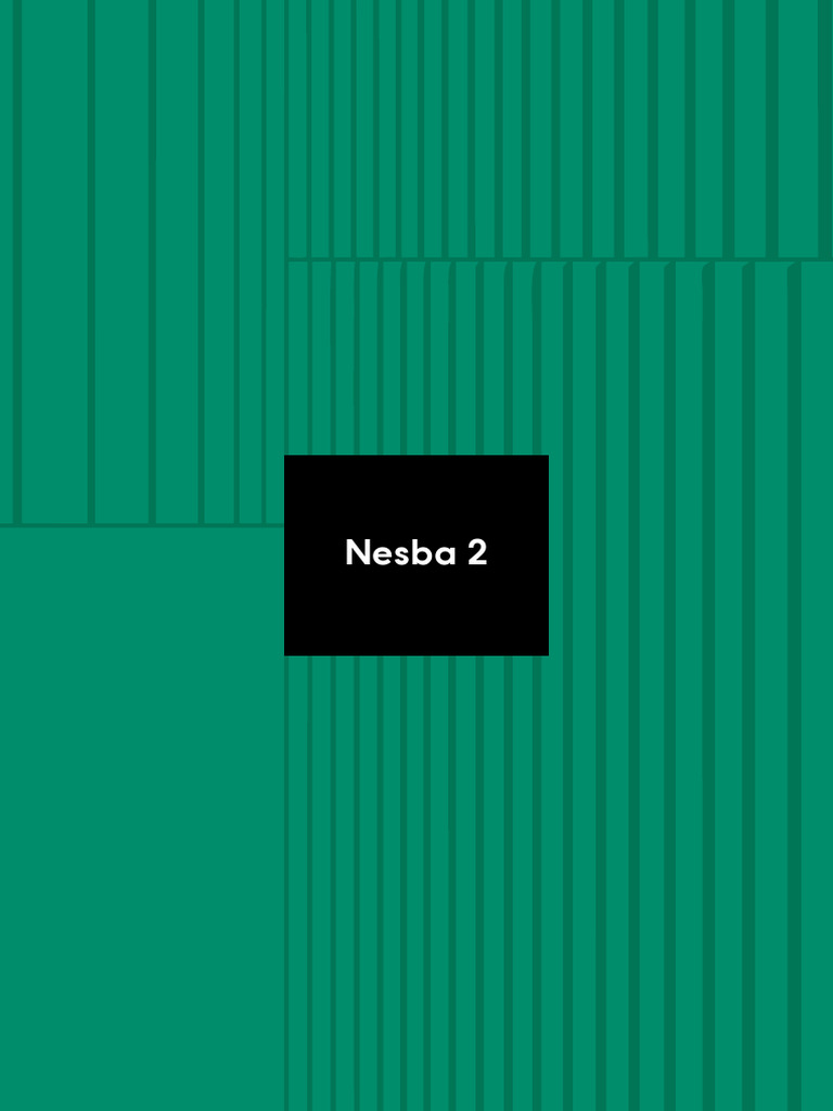 Nesba 2 Brochure | PDF