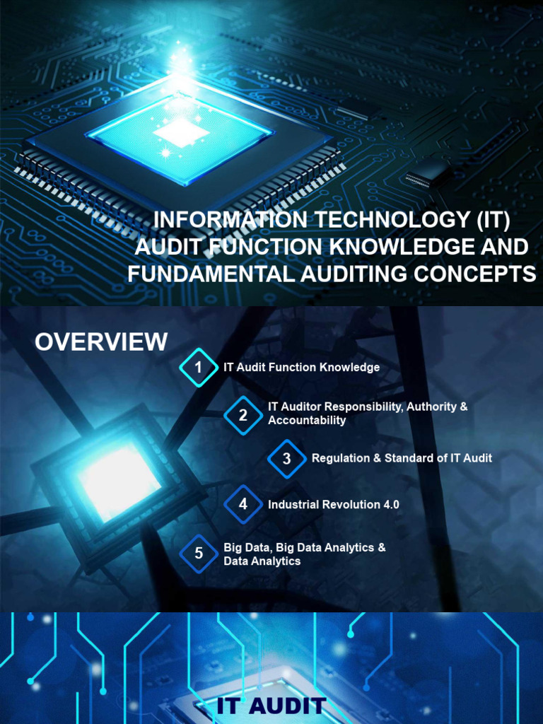 IT Audit Function Overview and Standards | PDF | Audit | Information ...
