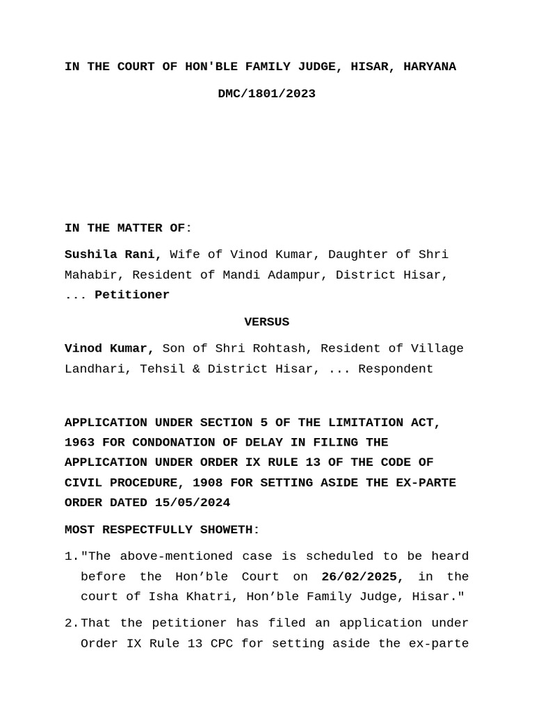 Delay Application Limitation | PDF | Ex Parte | Legal Procedure