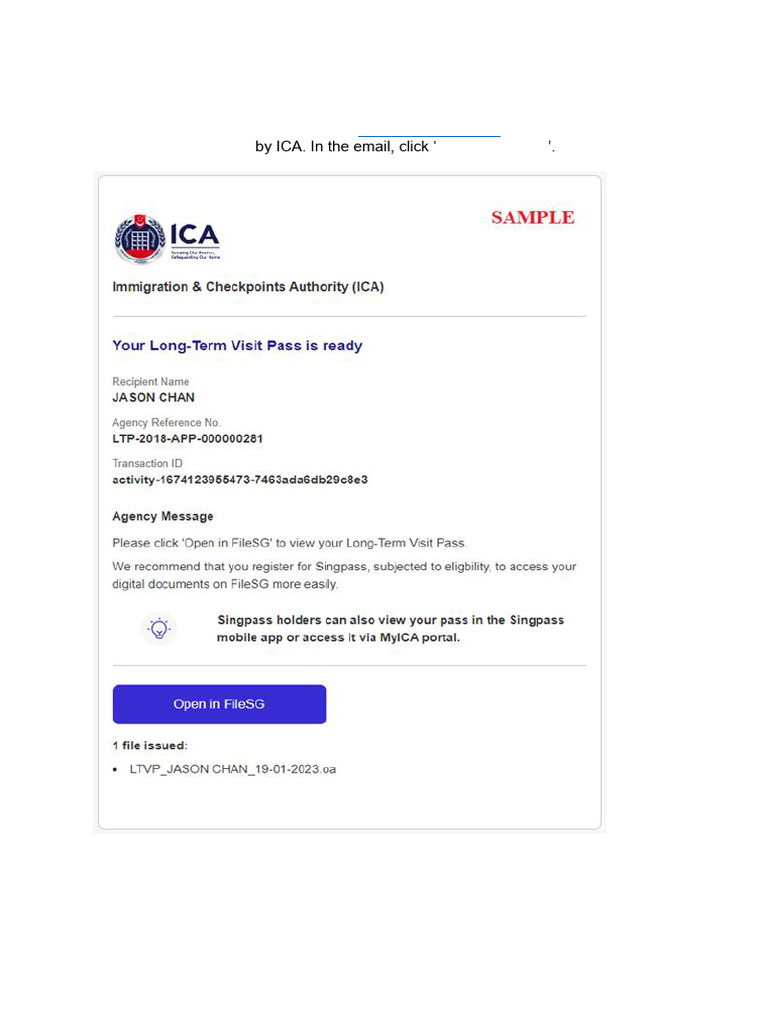 Steps To Retrieve Digital Long Term Pass (Non Singpass Login) | PDF