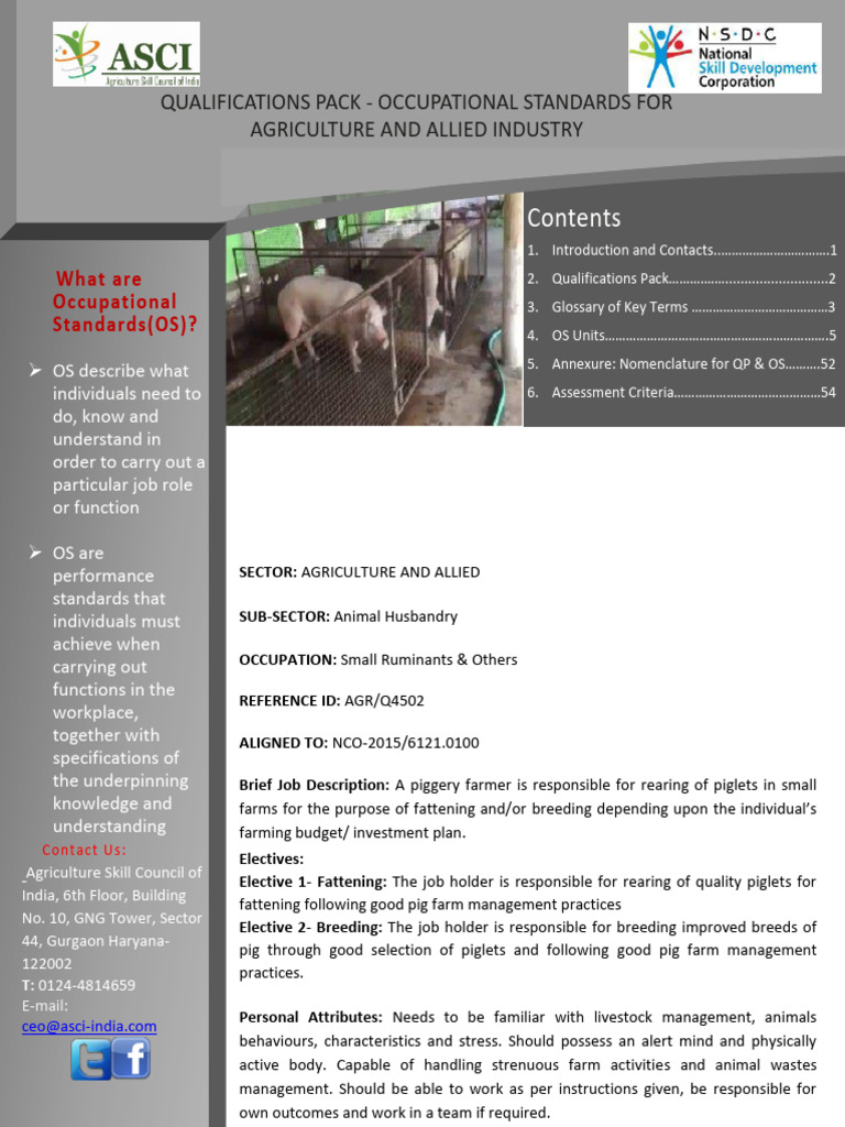 QP-Piggery Farmer | PDF | Personal Protective Equipment | Pig