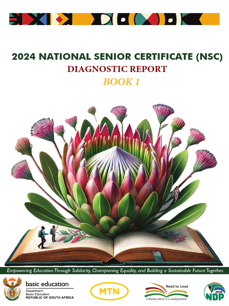 2024 NSC Diagnostic Report Overview | PDF | Learning | Teachers