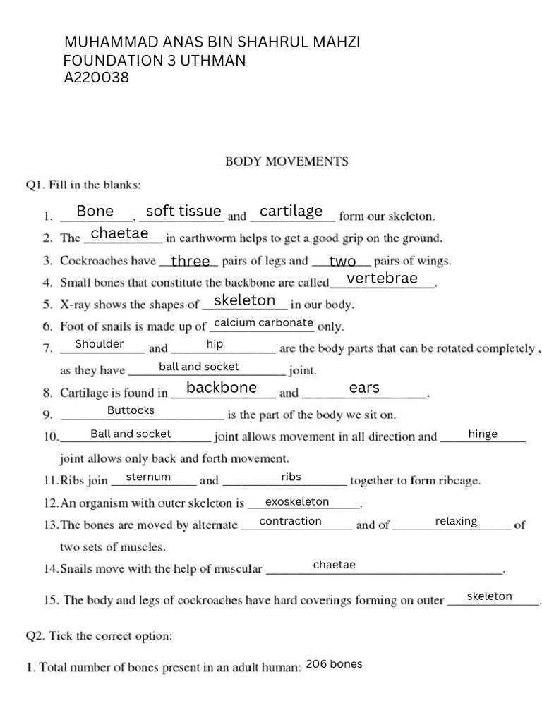 BIOLOGY EXERCISE | PDF | Vertebra | Vertebral Column