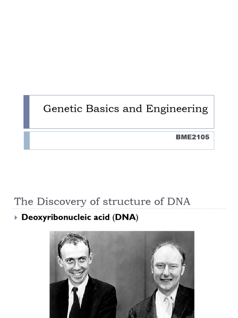 Lecture 1-2, Genetic Basics and Engineering | PDF | Dna | Translation ...