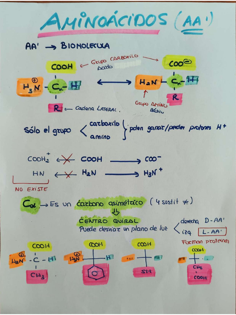 Esquemas Aa Odonto Ceu-2 | PDF