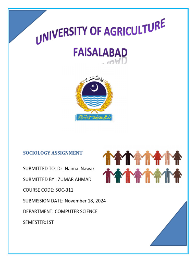 Sociology Assignment | PDF