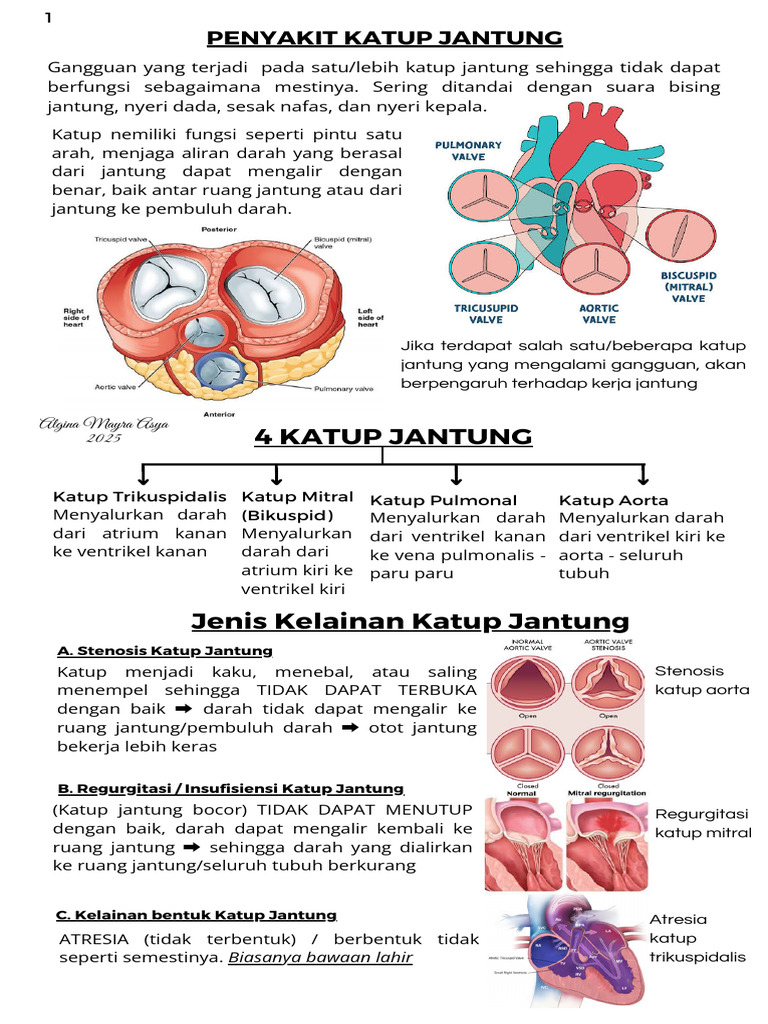 Penyakit Katup Jantung dan Penanganannya | PDF