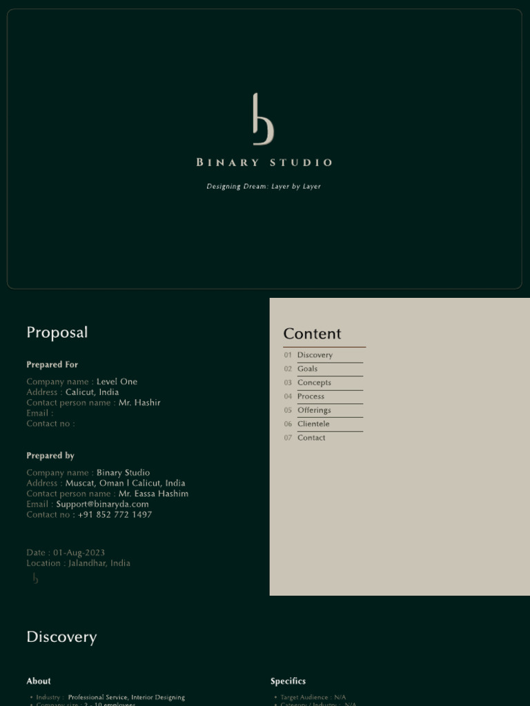 Level One - Binary Concept Proposal | PDF | Search Engine Optimization | Brand