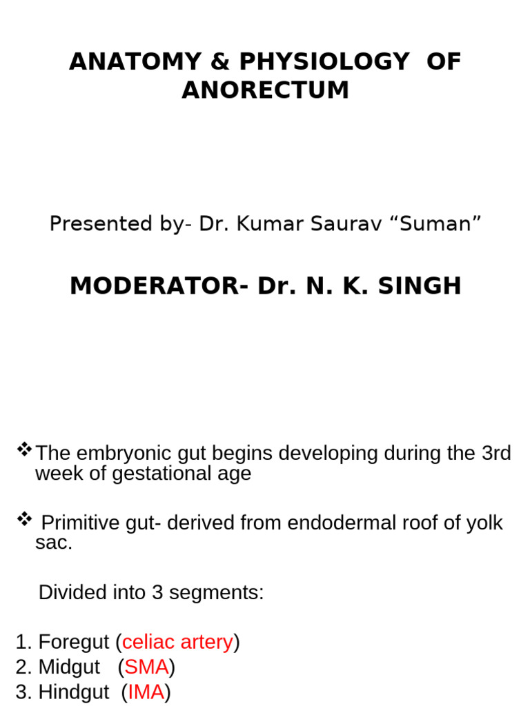 Anatomy of Anorectum. Dr. K. Saurav | PDF | Rectum | Vein