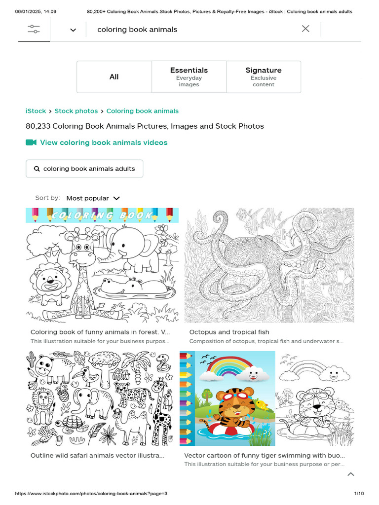 Fun Animal Coloring Book Illustrations | PDF | Coloring Book