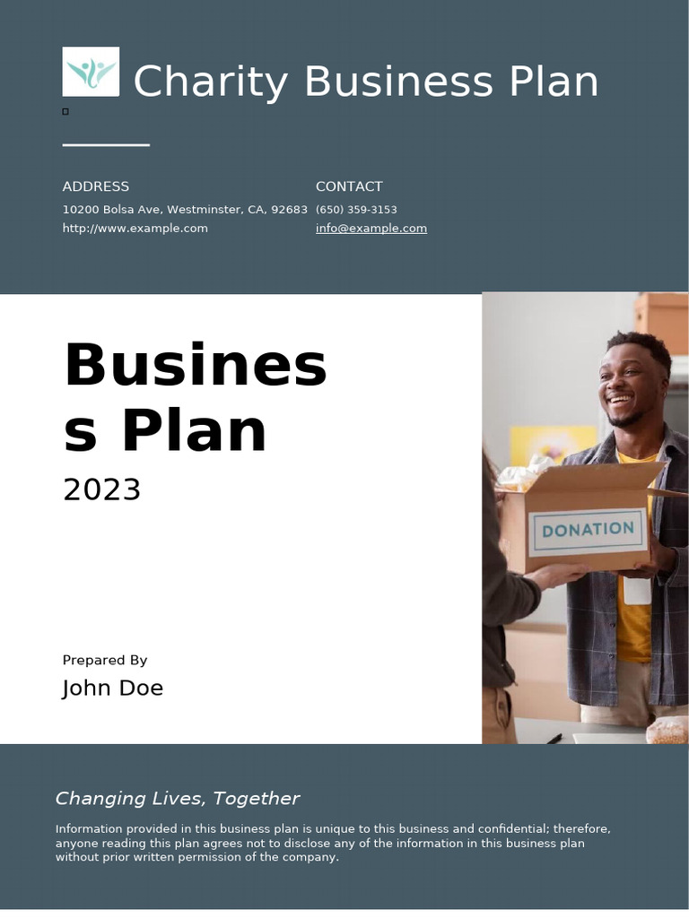Charity Business Plan | PDF | Balance Sheet | Fundraising