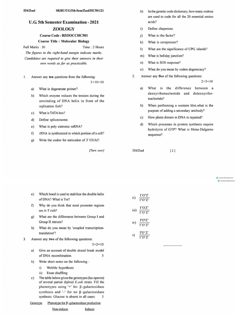 2021 | PDF