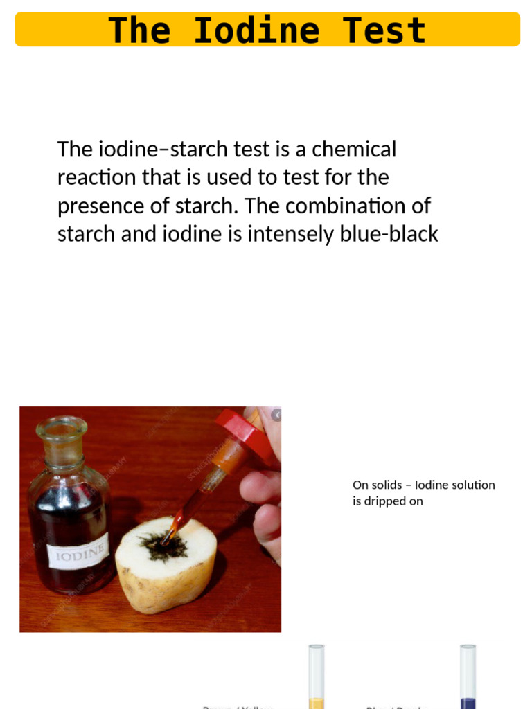 4+Biochemical+Tests+ +Sugars+and+Starch | PDF | Carbohydrates | Aldehyde