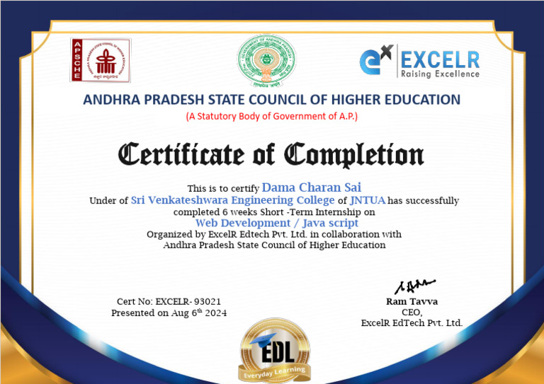 EXCELR 93021 Dama Charan Sai | PDF