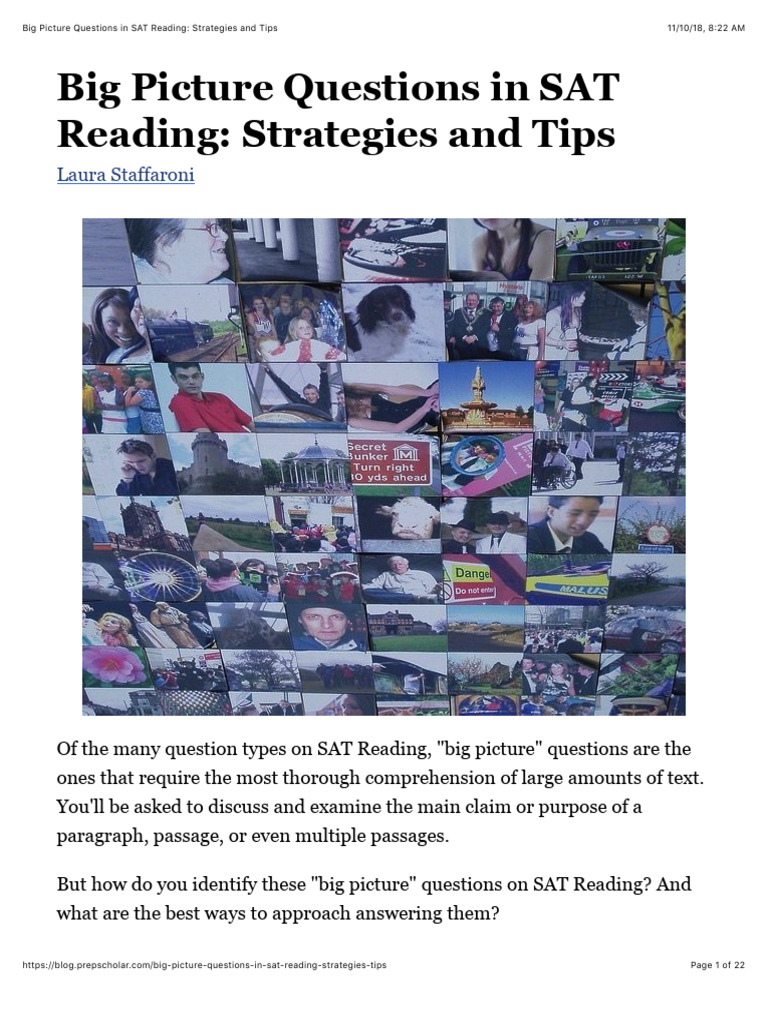 SAT Reading Big Picture Question Tips | PDF | Sat | Question