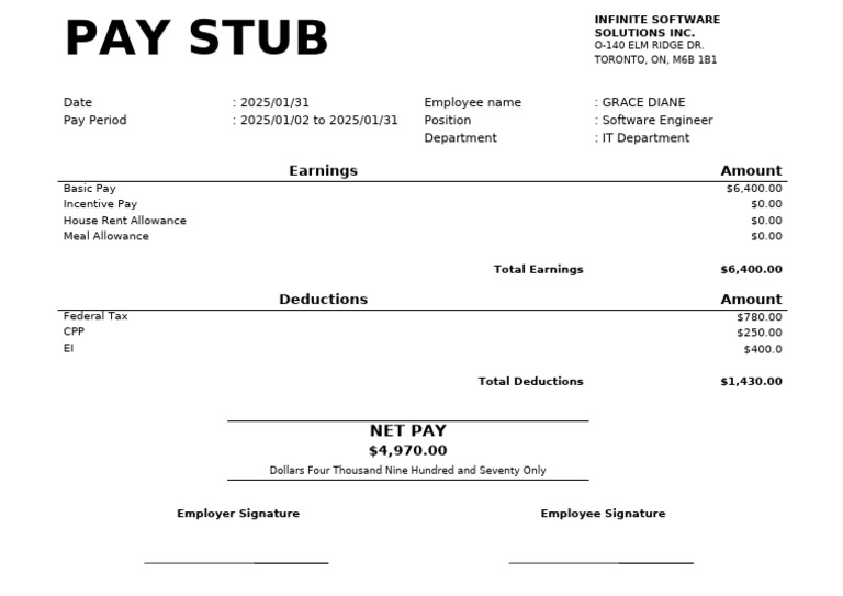 Simple Pay Stub Template | PDF