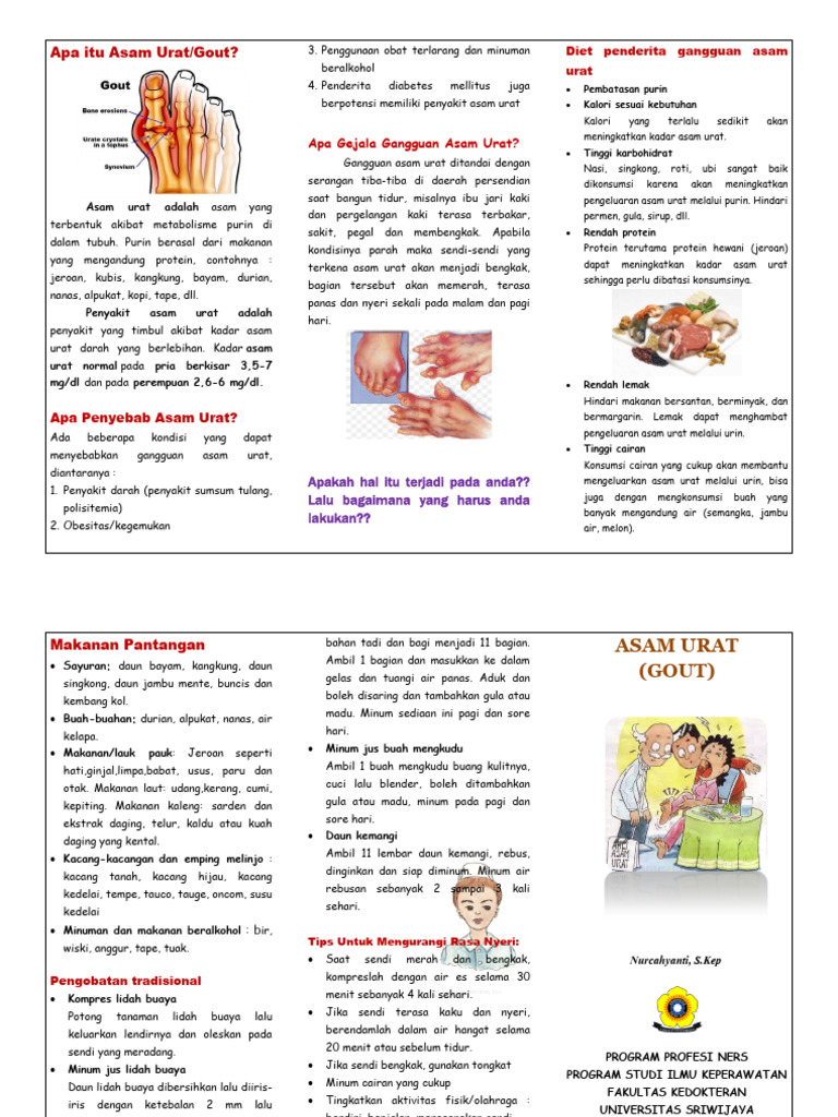 Leaflet Asam Urat | PDF