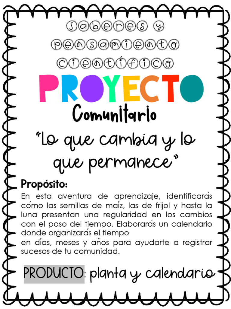 Proyecto Comunitario: Cambios y Permanencias | PDF