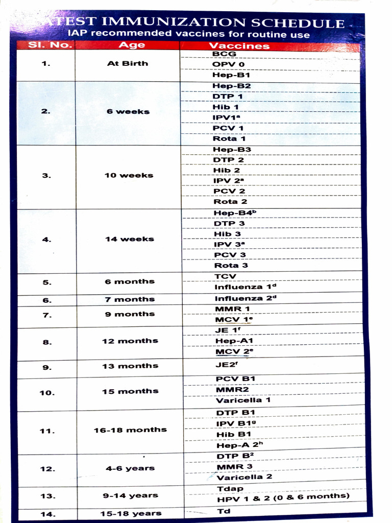 IAP Immunization Schedule 2025 | PDF
