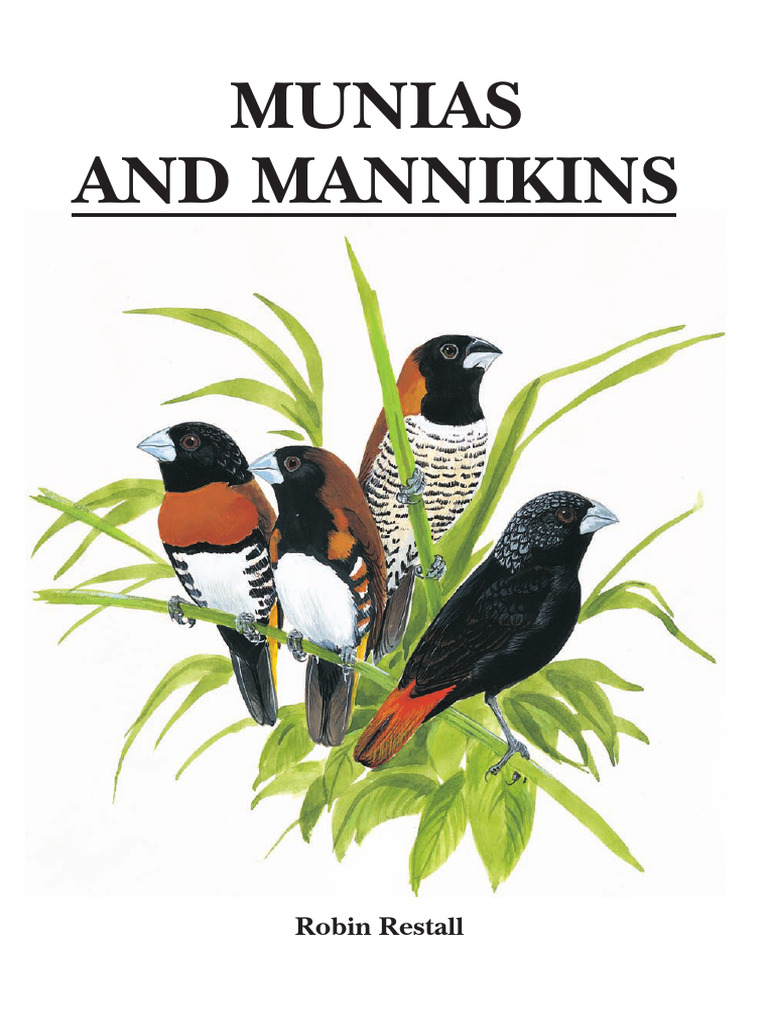 Munias and Mannikins (Robin_ (Z-Library) | PDF | Birds | Ornithology