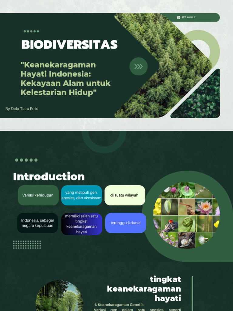 Biodiversitas 20250125 090131 0000 | PDF