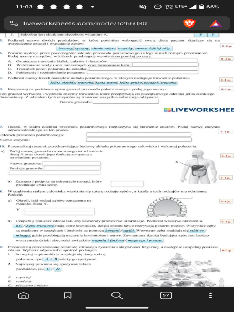 Screenshot 20250207-110341 | PDF