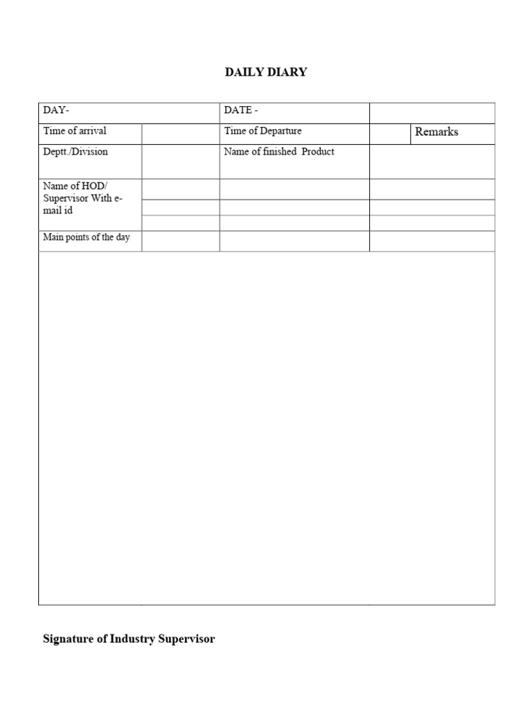 Daily Diary | PDF