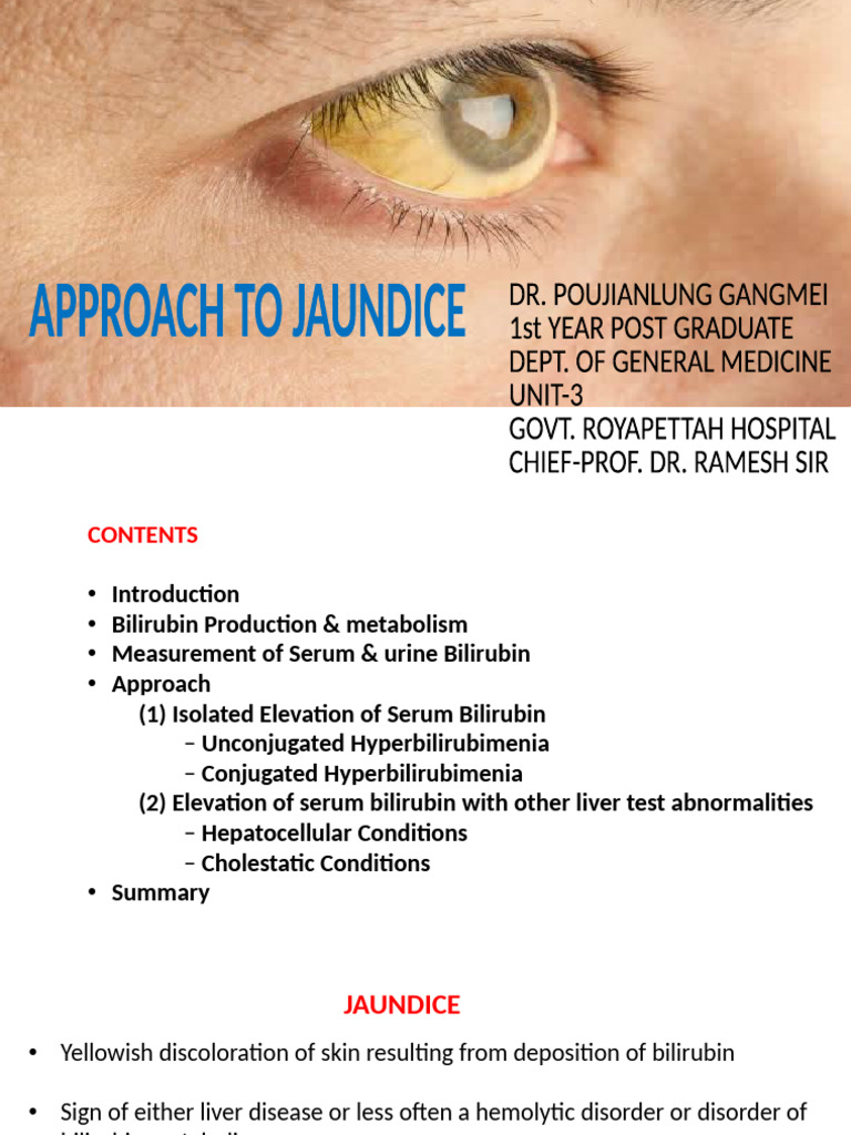 Bilirubin Metabolism and Jaundice Analysis | PDF | Hepatitis | Cirrhosis
