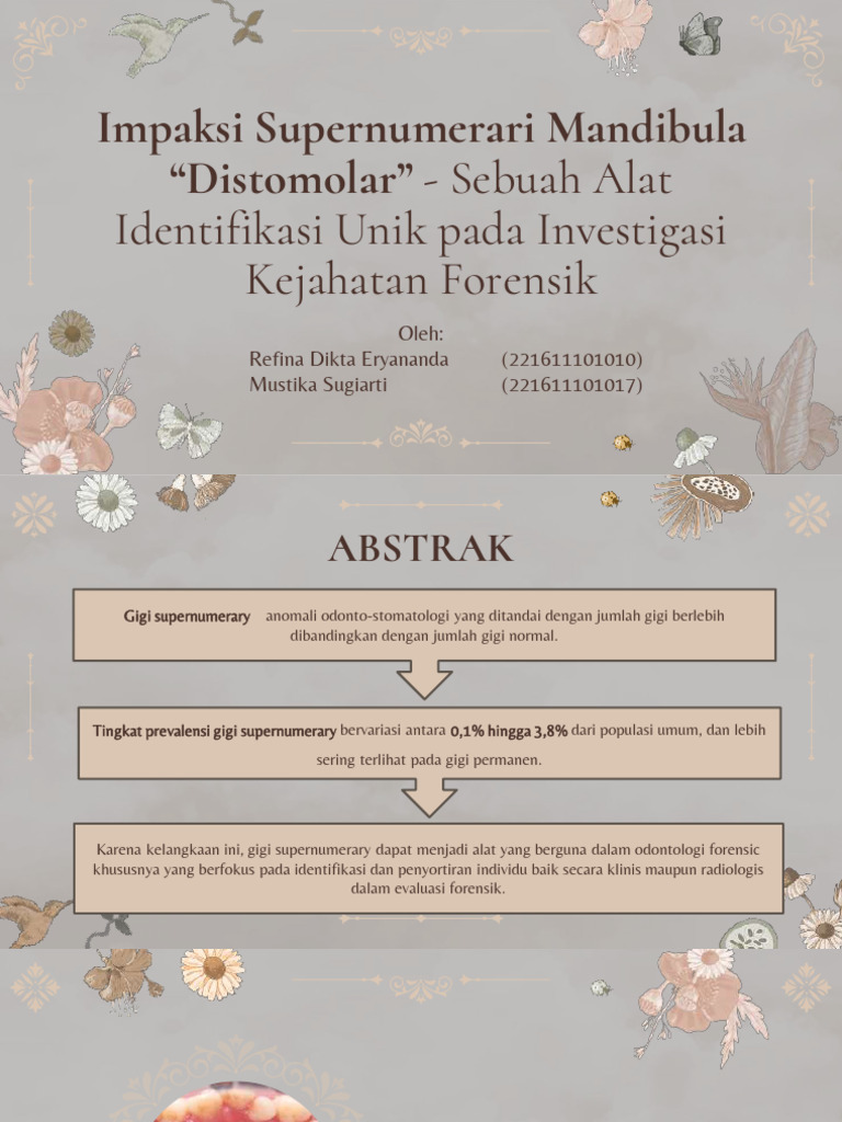 Identification - A2.3 - Impacted Supernumerary Mandibular Distomolar ...